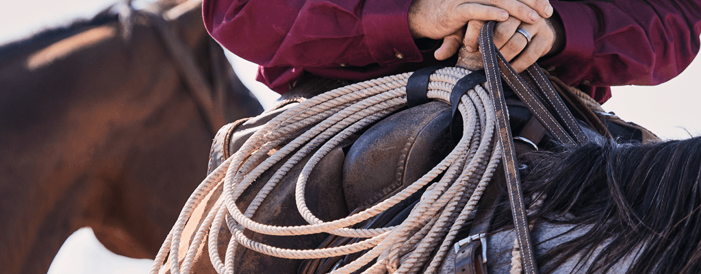 Best Ranch Ropes | How to Choose the Best Ranch Rope for Beginners - NRS