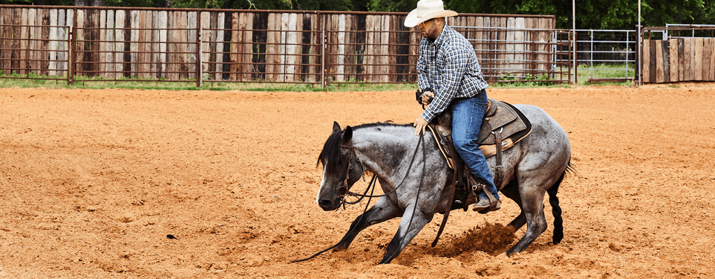 What is a Snaffle Bit? | The Best Snaffle Bit Guide | NRS World