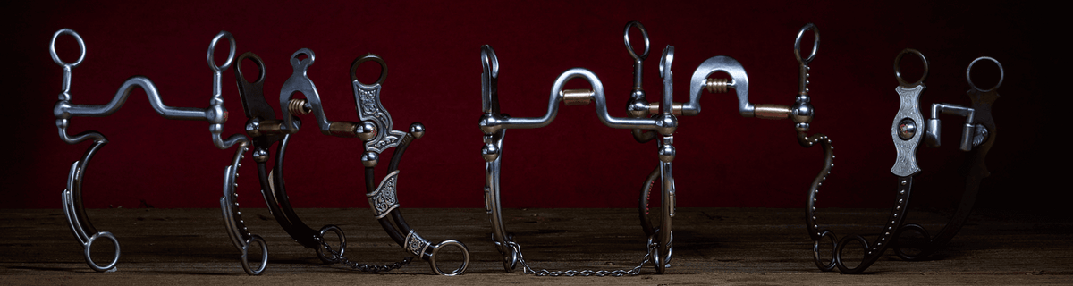 Ported Bits and Their Uses | Learn About Types of Port Bits for Horses