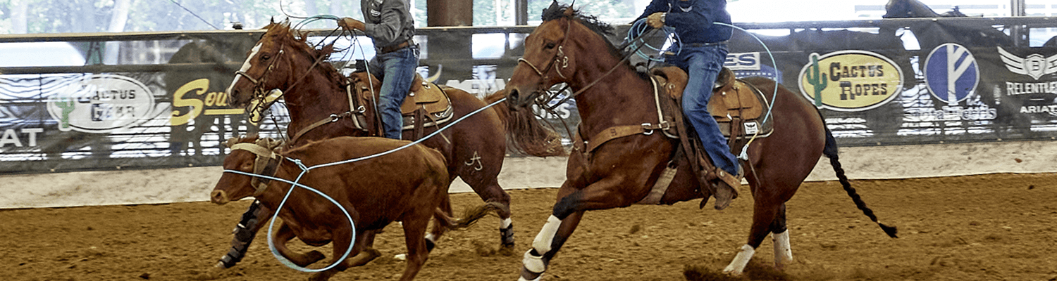 NRS' Best-Selling Saddle Pads for Ropers