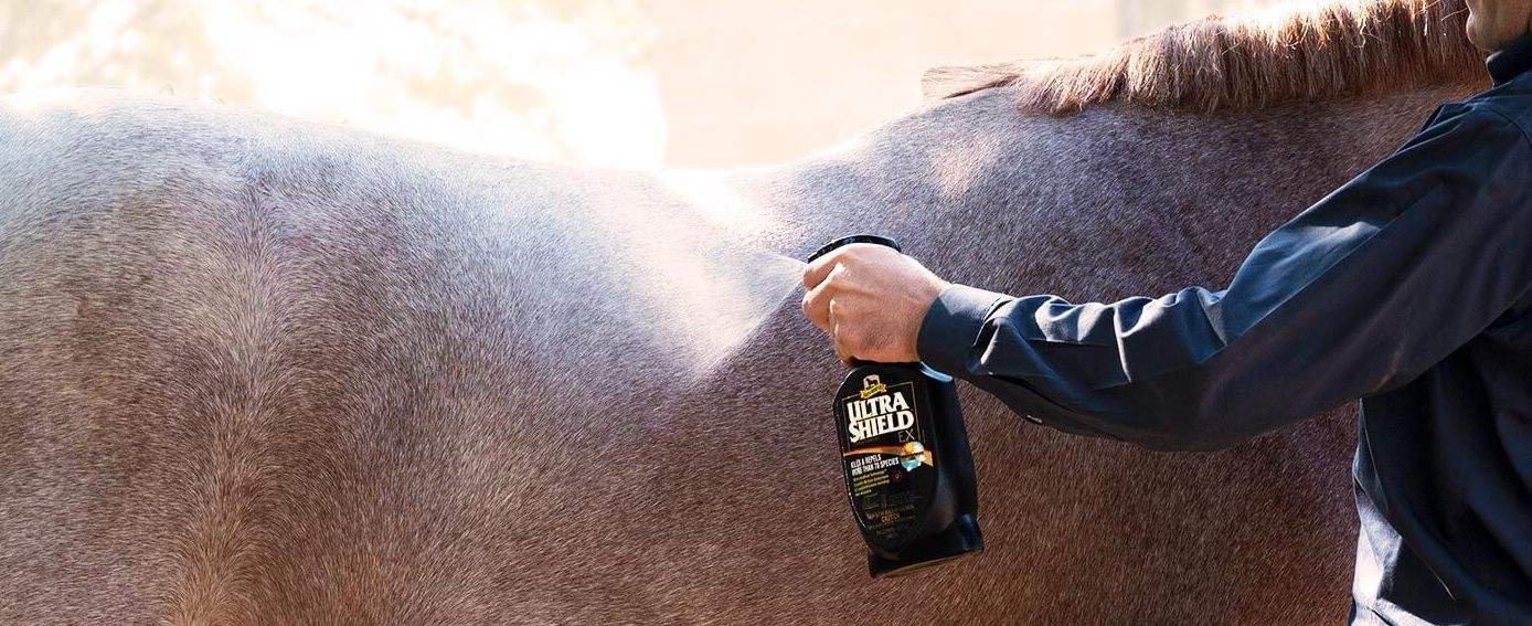 Oil-Based vs Water-Based Fly Spray