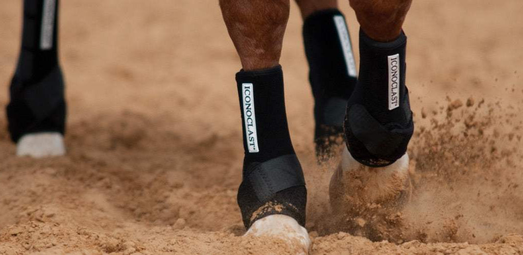 Best Splint Boots for Horses