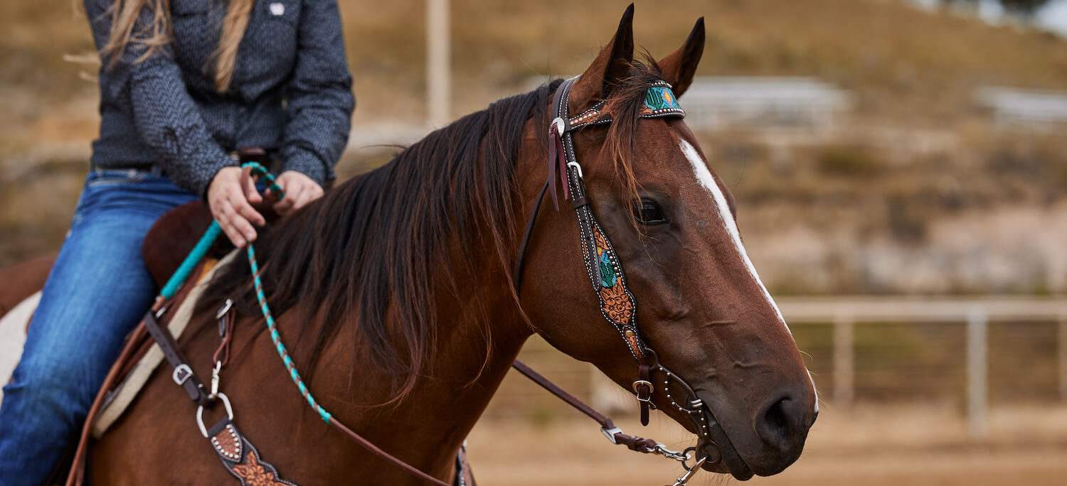 Matching Tack Sets: Let NRS Deck Both You and Your Horse Out