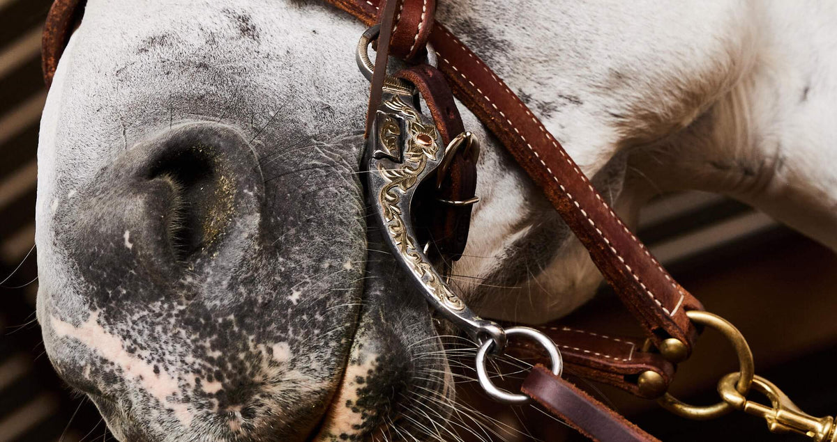 The History and Transformation of the Horse Bit | NRS World