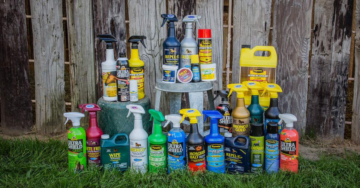 Fly Control Hacks for Horses & Livestock