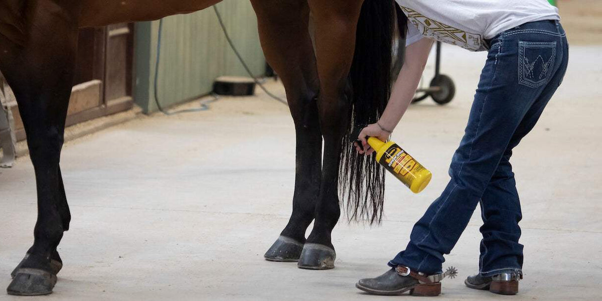 Pyranha Fly Spray