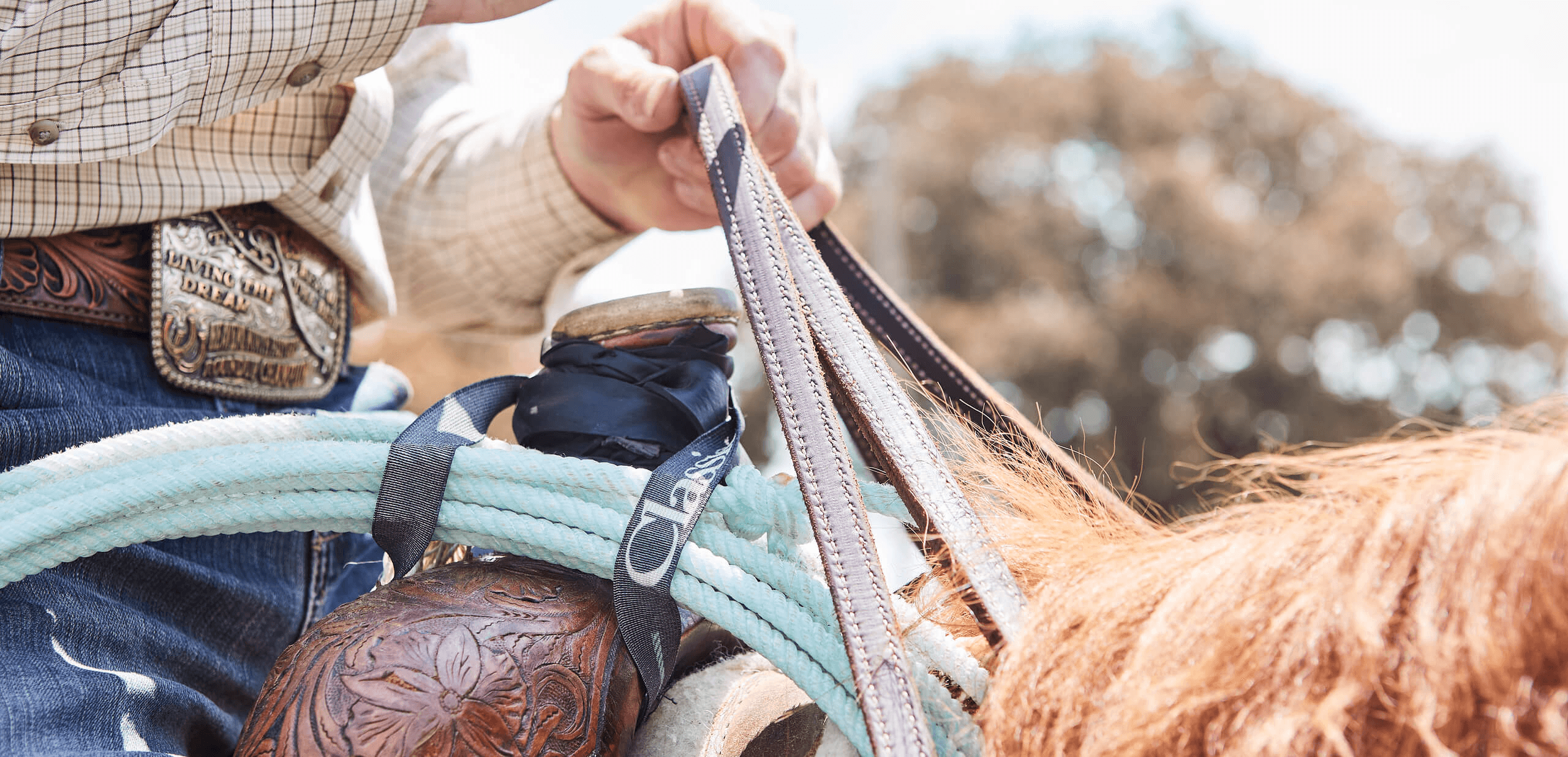 How To Hold Western Reins | Learn How To Hold Reins Western-Style