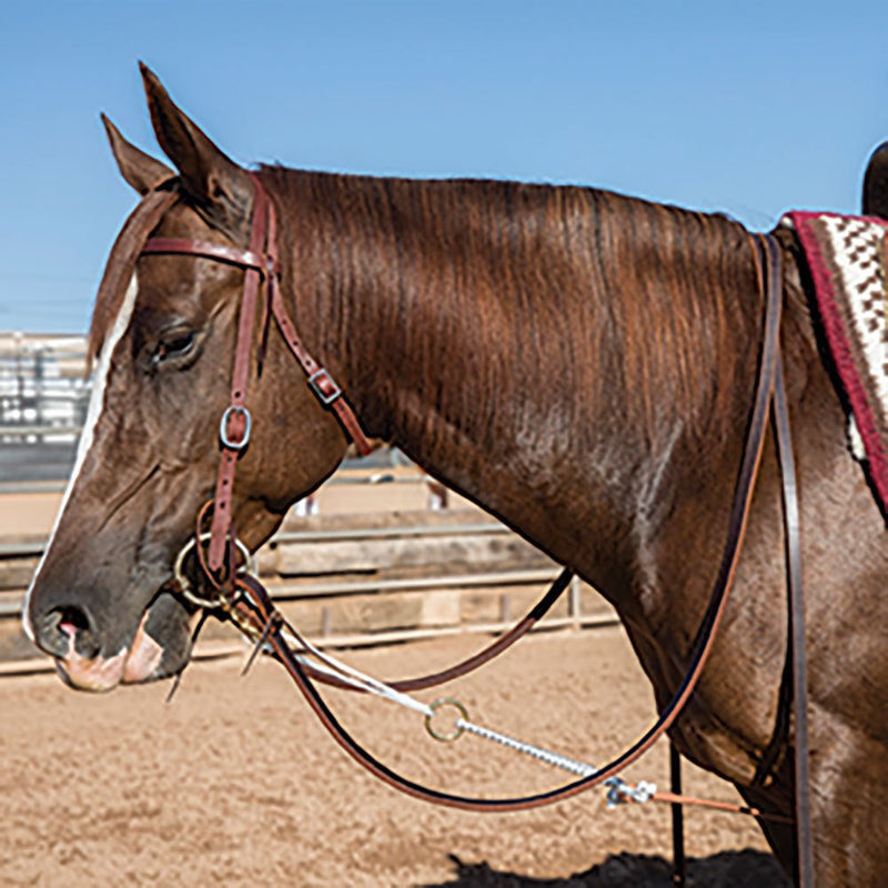 Professionals Choice AD Yoyo Head Setter for Horses