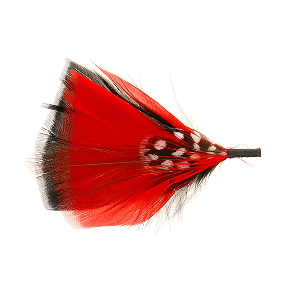 Austin Accent Inc. Red Hat Feather