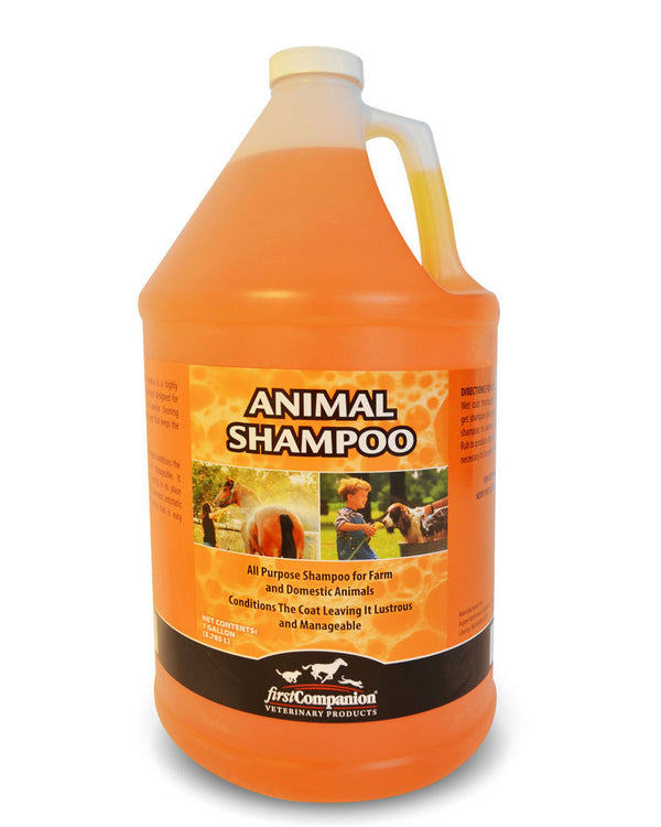 First Companion Animal Shampoo Gallon