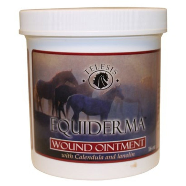 Equiderma Wound Ointment 16oz