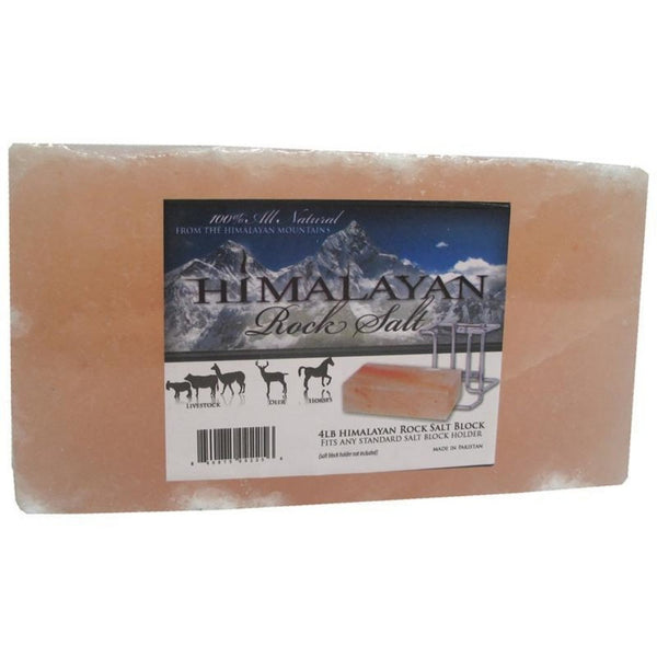 Gatsby Himalayan Rock Salt Brick 4lb