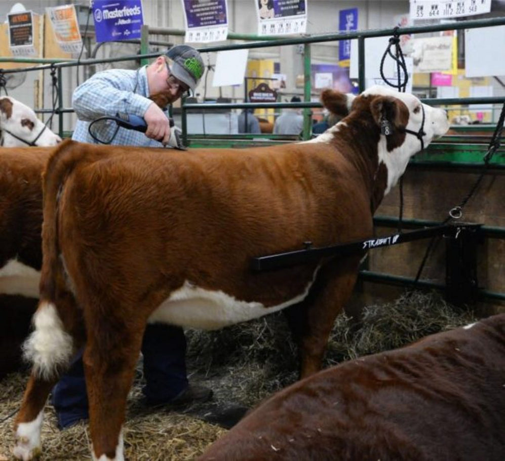 Sullivan Supply Extenz - Straight Up Bar Extensions