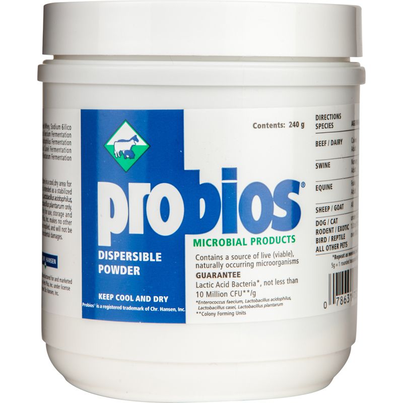 Probios Dispersible Powder 240gm