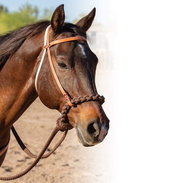 Professionals Choice Professional's Choice Loping Hackamore