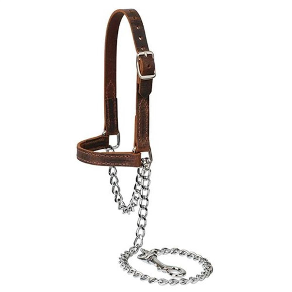 Weaver Livestock Water Buffalo Leather Goat Halter