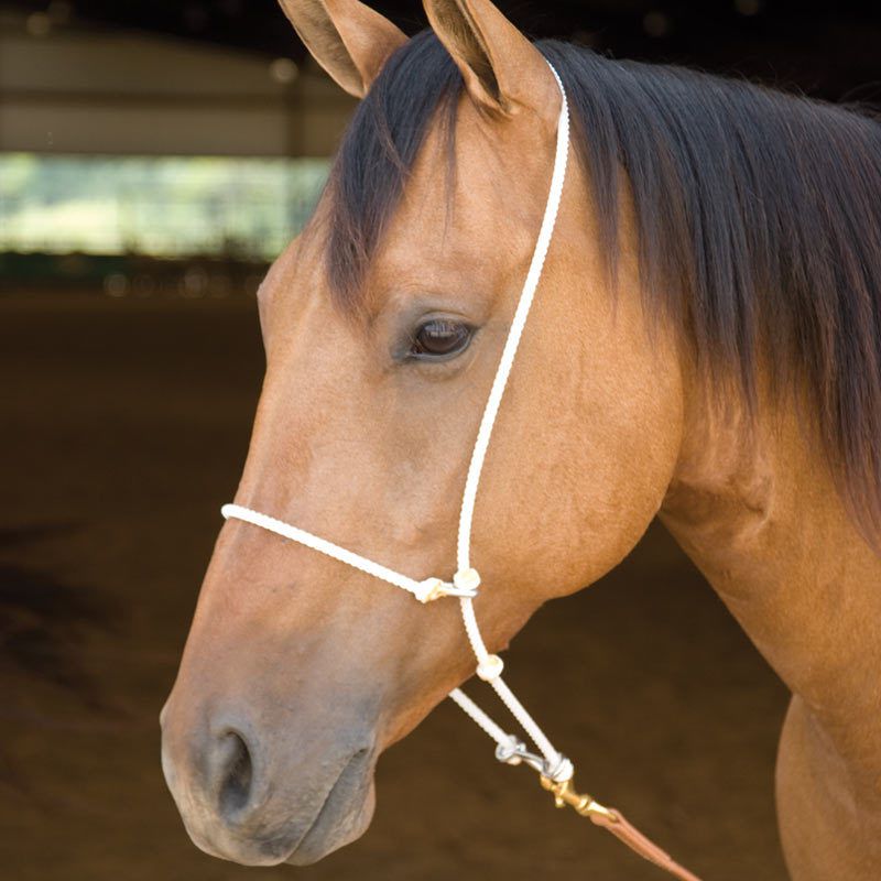 Headsetter for Horses | Purchase a Martin Saddlery Rope Head Setter for ...