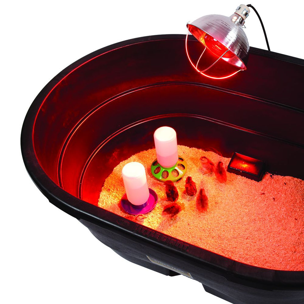 Little Giant Heat Lamp Bulb Red Bulbs 250 Watt