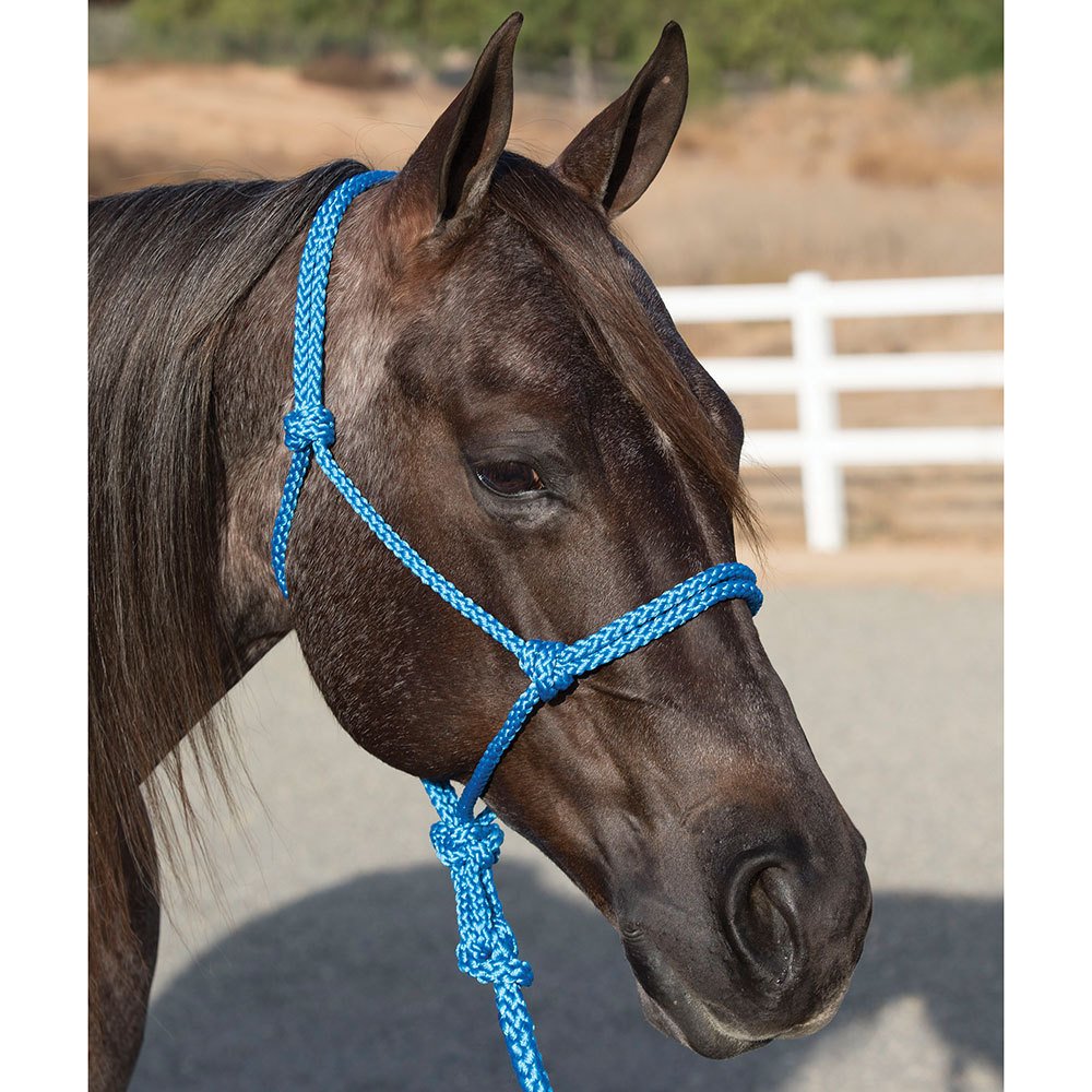 Professionals Choice Professional's Ranch Hand Halter and 10' Lead — NRS