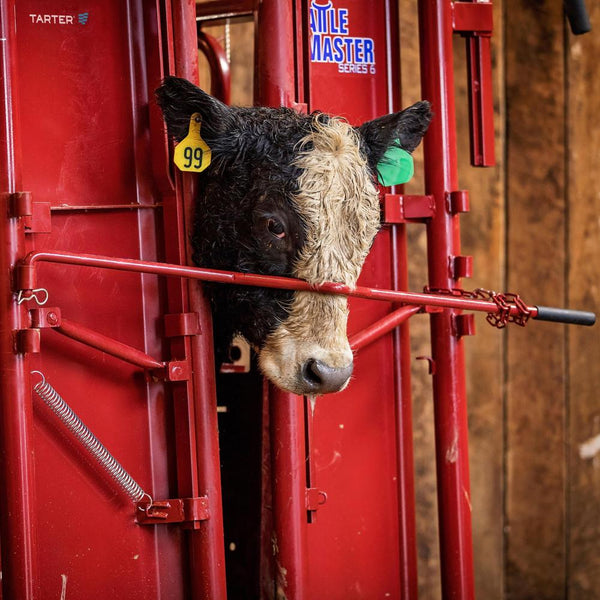 Tarter Nose Bar (Only)