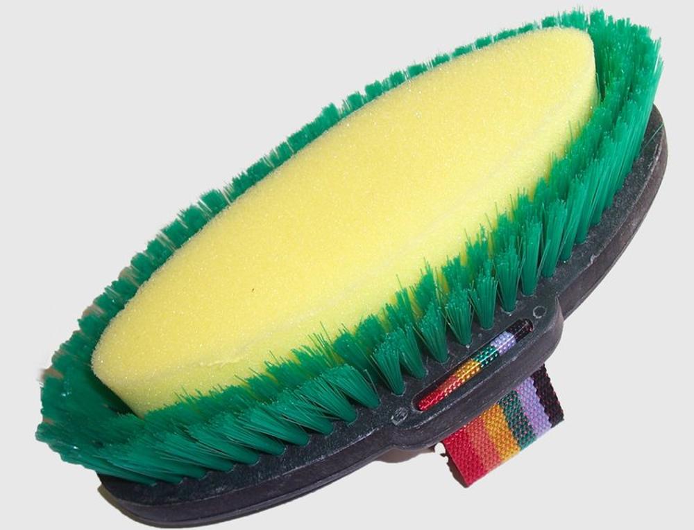 Champion Brush Oval Sponge Brush with Strap