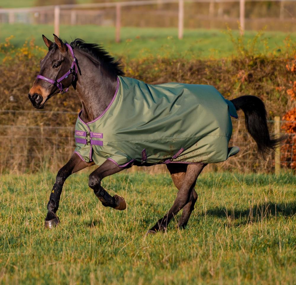 Horseware Ireland Amigo Hero Ripstop Plus Lite 0g