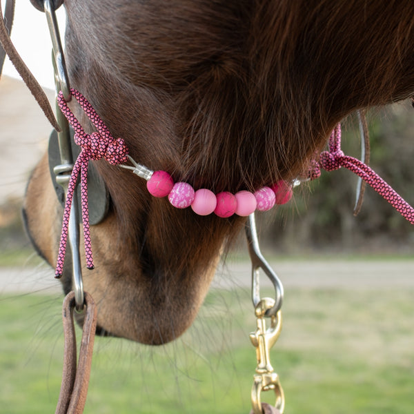 NRS Pink Cactus Silicone Beaded Gag Bit Curb Strap