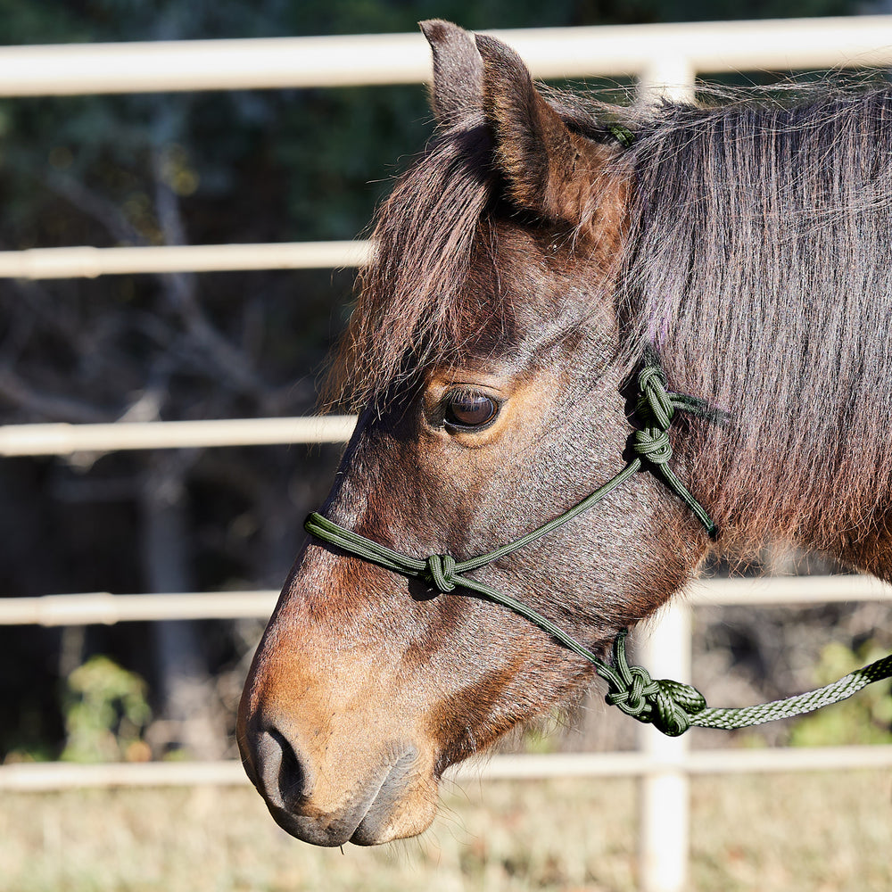 Tough 1 Poly Rope Tied Halter w/Lead
