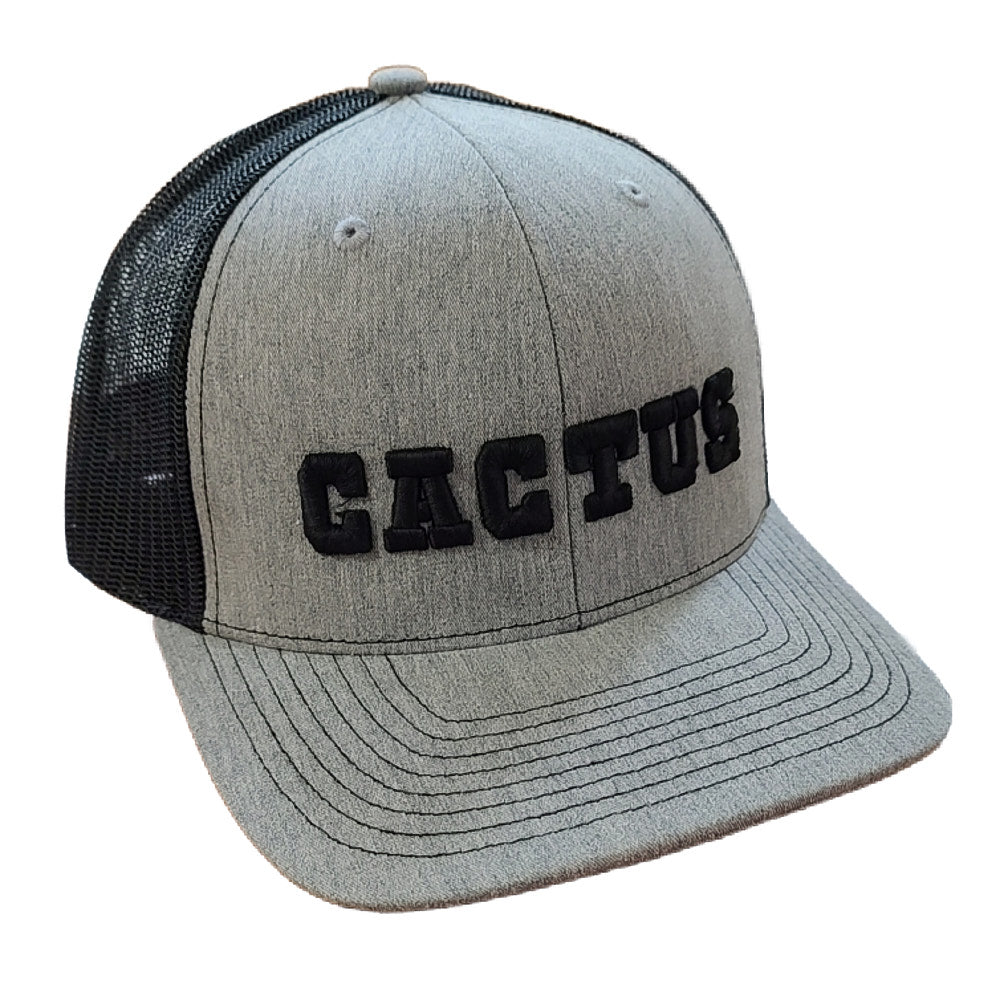Cactus Gear Heather Grey and Black 3D Cactus Snapback