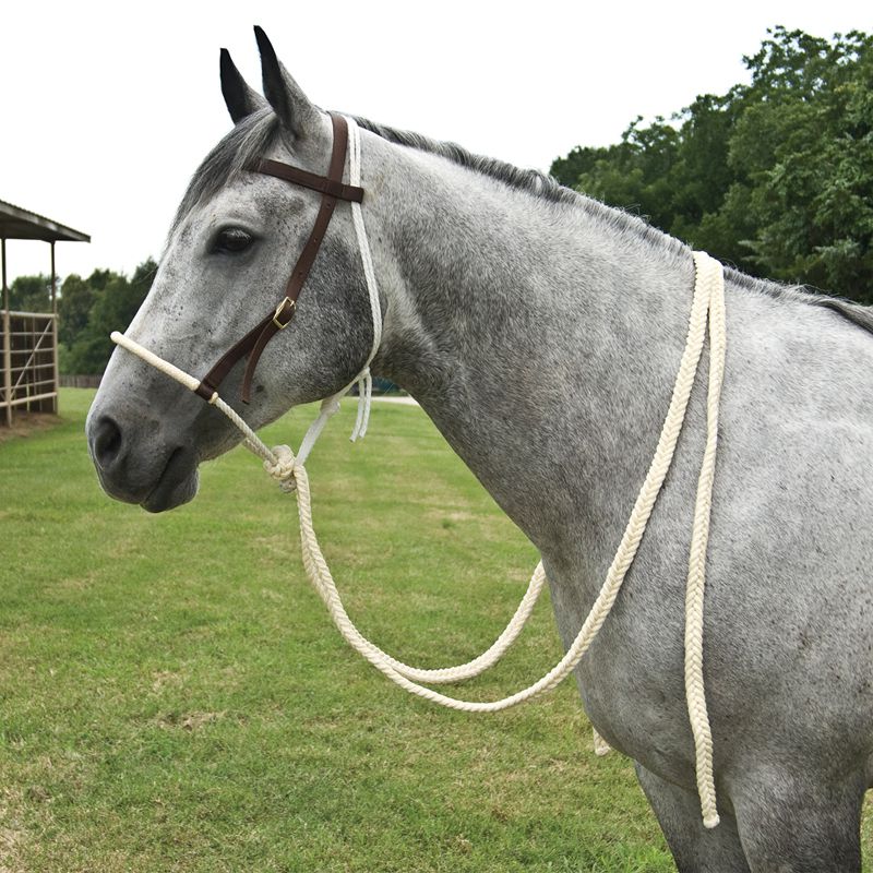 Mustang Working Hackamore