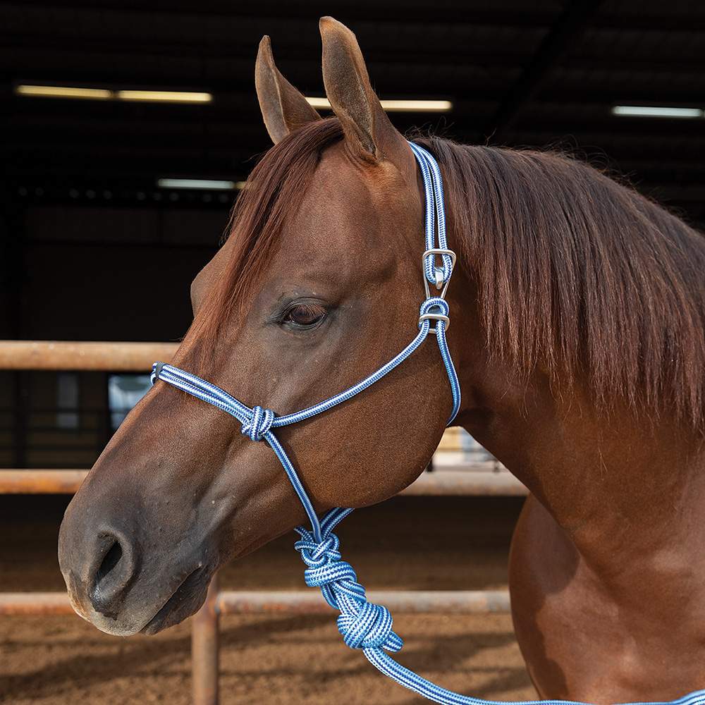 Professionals Choice Professional's Choice Easy On Rope Halter