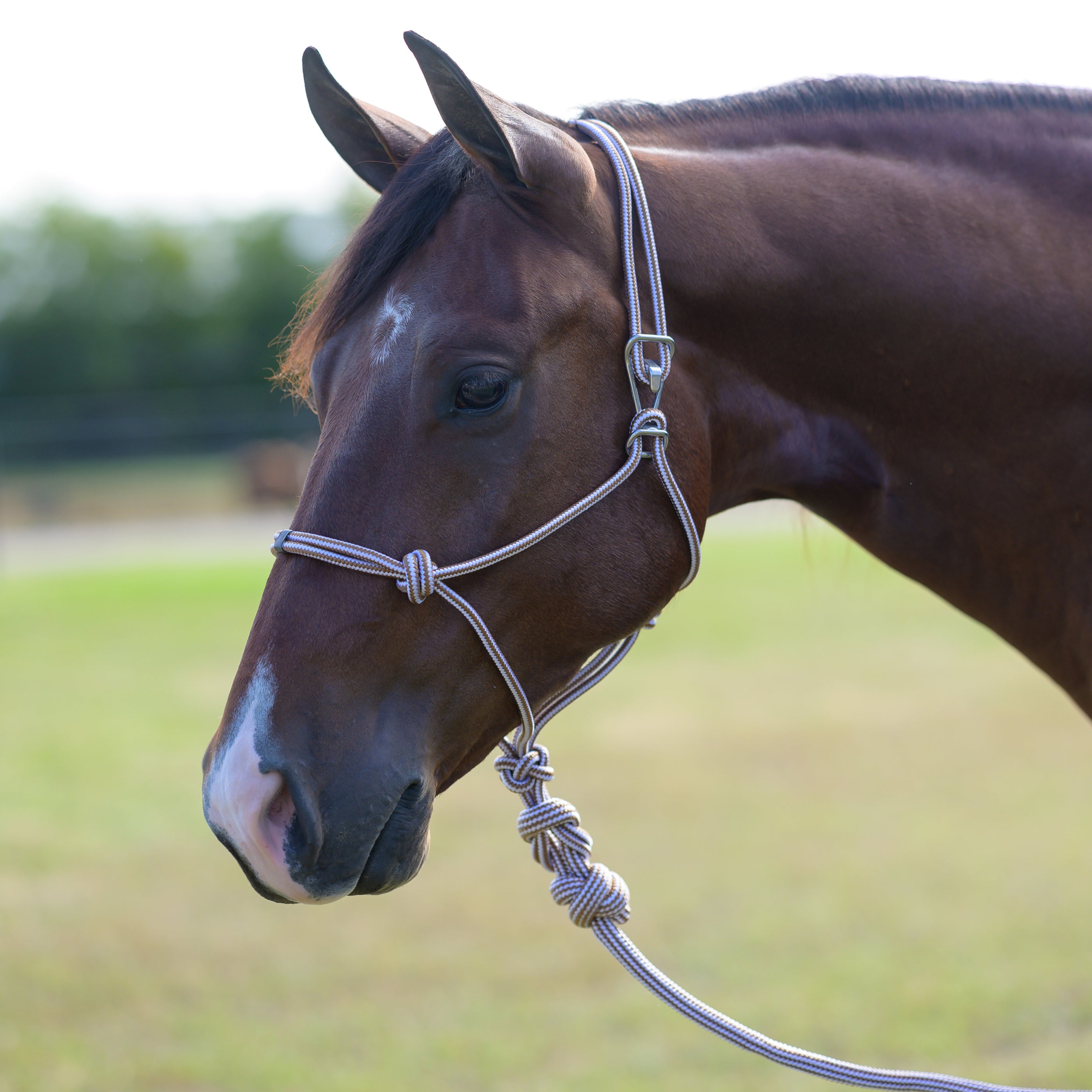 Professionals Choice Easy On Rope Halter