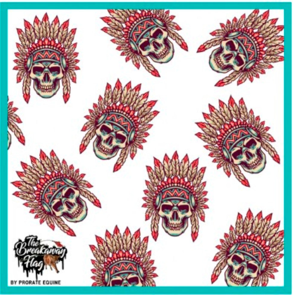 Prorate Equine Patterned Open Professional Breakaway Flag