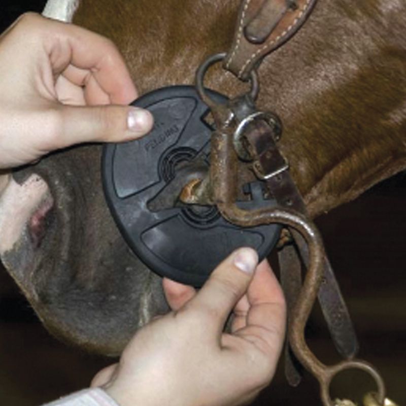 Reinsman Easy Button Bit Guard - Pair