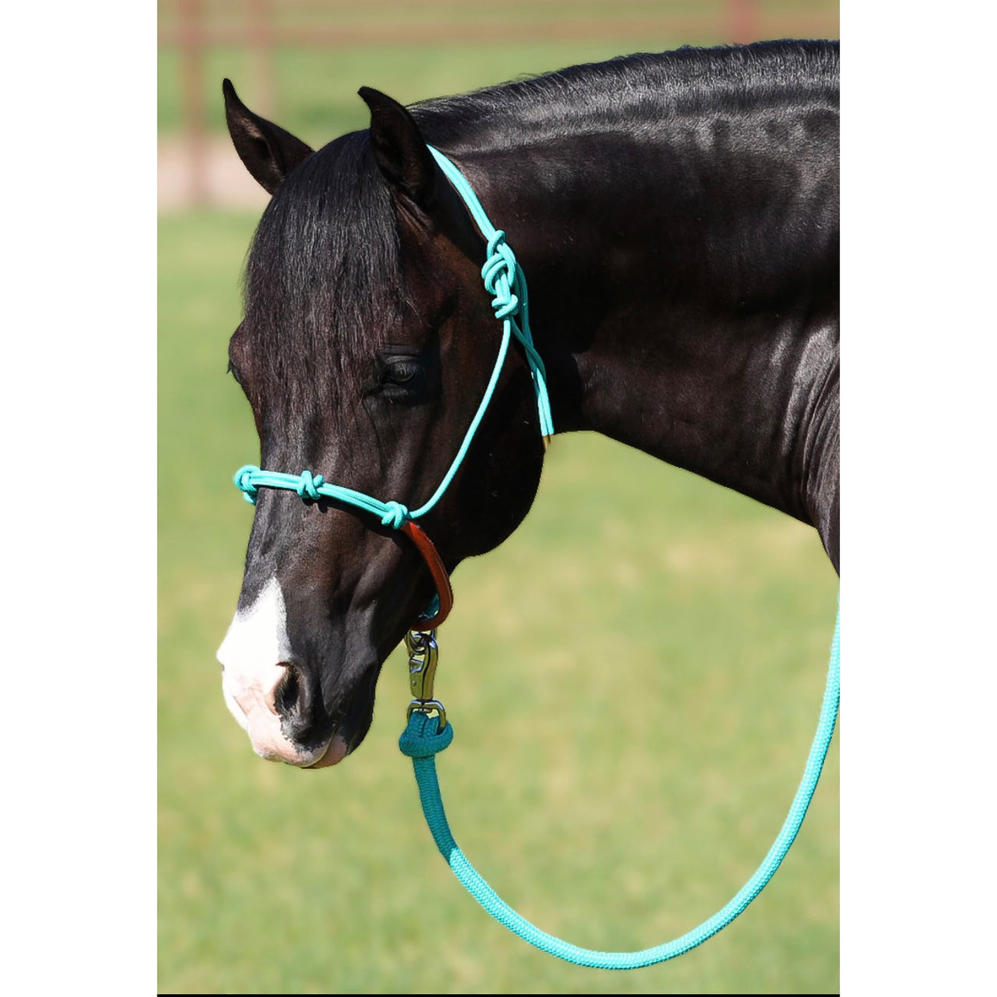 NRS Knotted Rope Halter With Attached Lead Rope