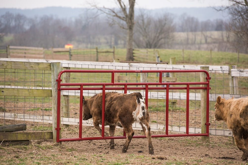 Tarter 12ft Creep Feeder Panel