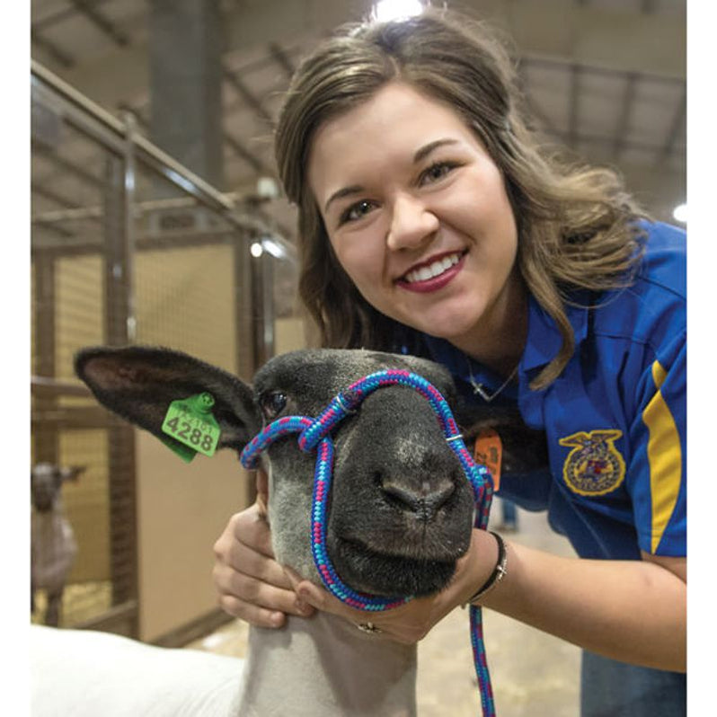 Weaver Leather Leather Sheep Rope Halter with Snap Hurricane Blue/Roya