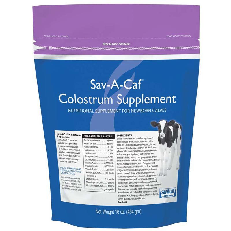 Sav A Caf Colostrum Supplement 16oz