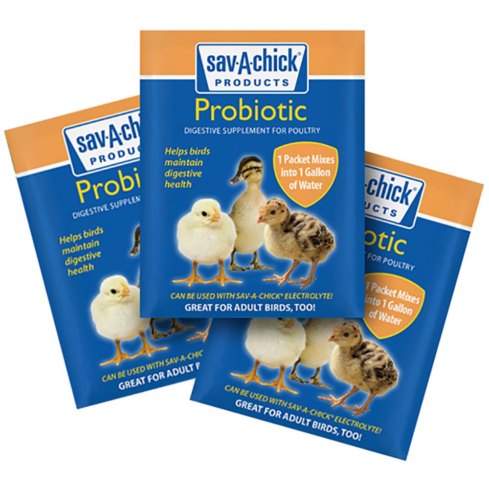 Sav A Caf Chick Probiotic Supplement