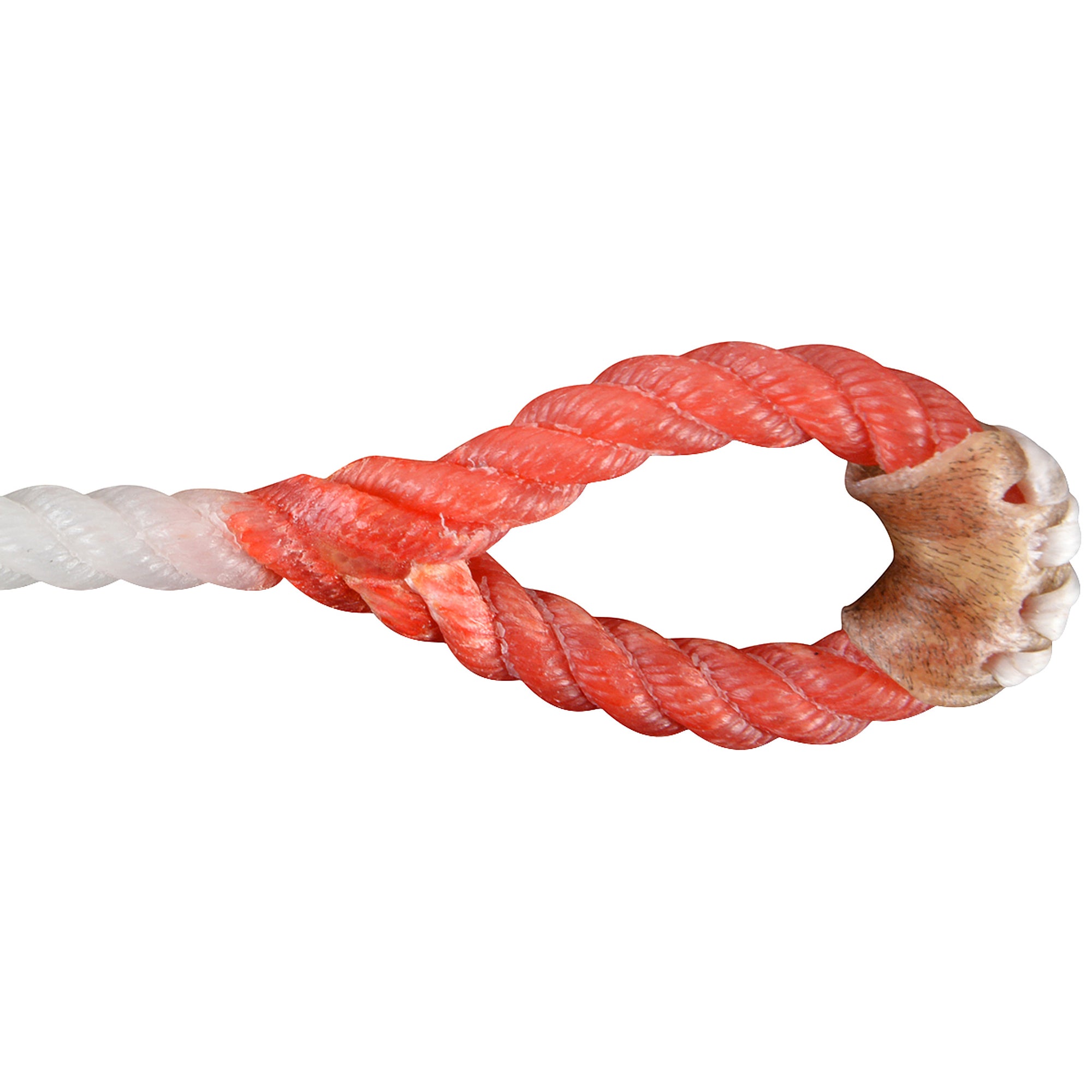 Rattler Ropes White Racer Piggin String