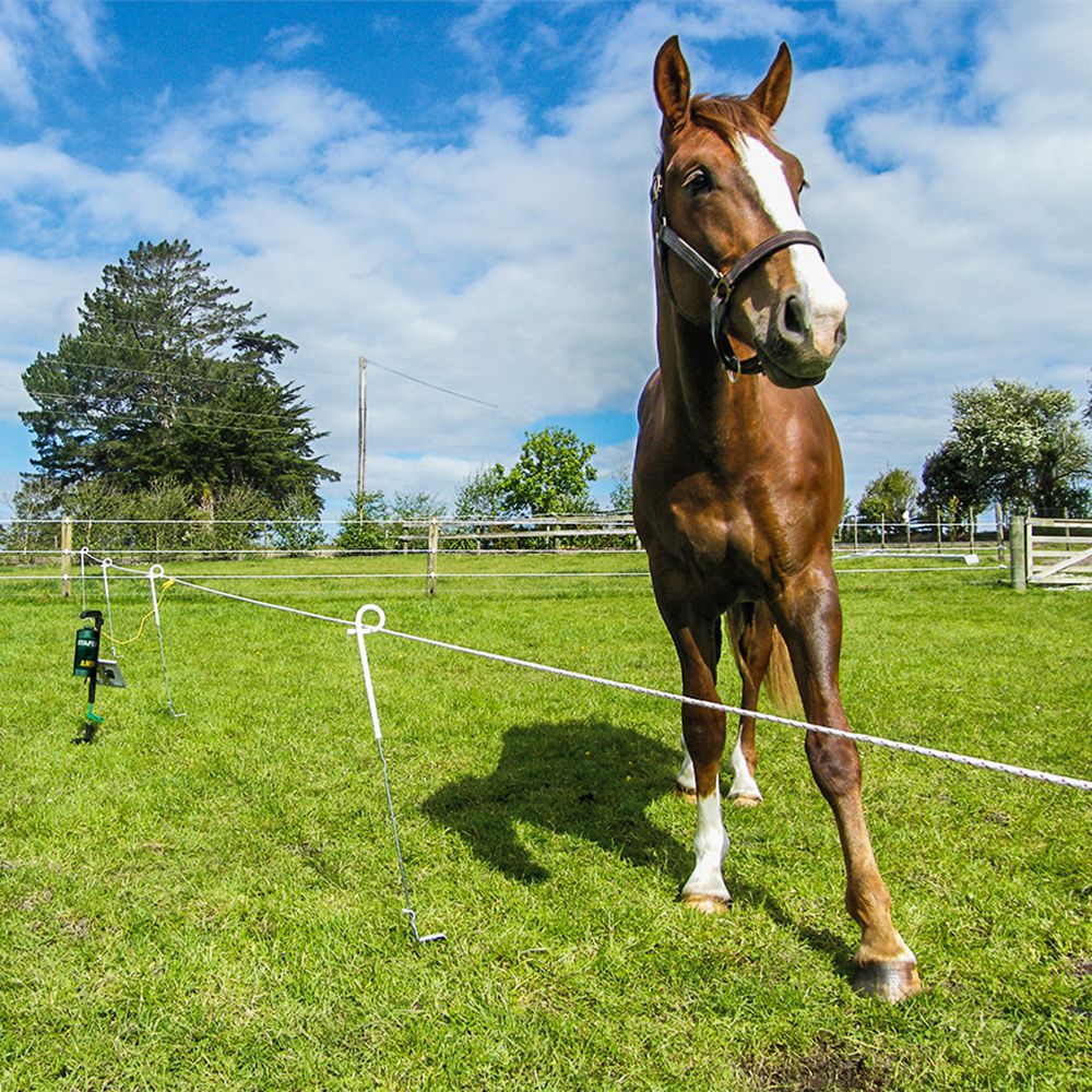 Stafix Equine Corral `Fence-In-A-Bag` Kit