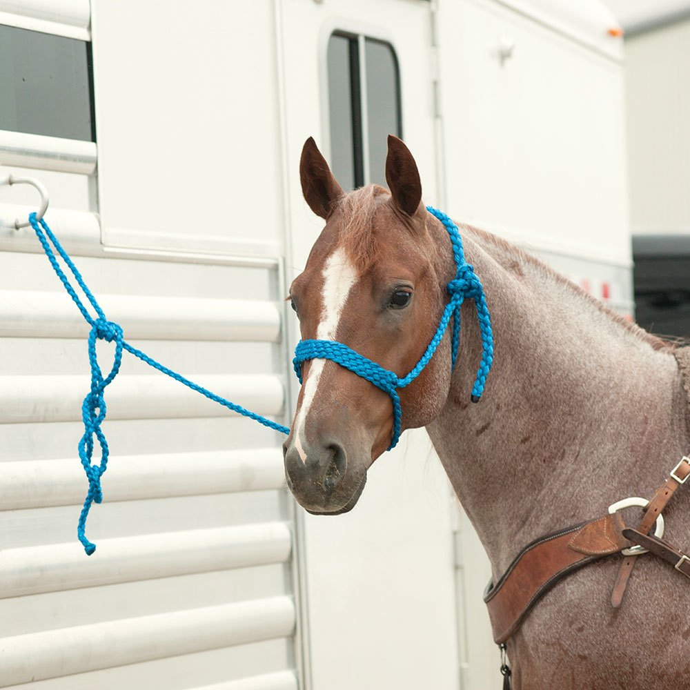 Classic Braided Halter with 8' Lead Rope