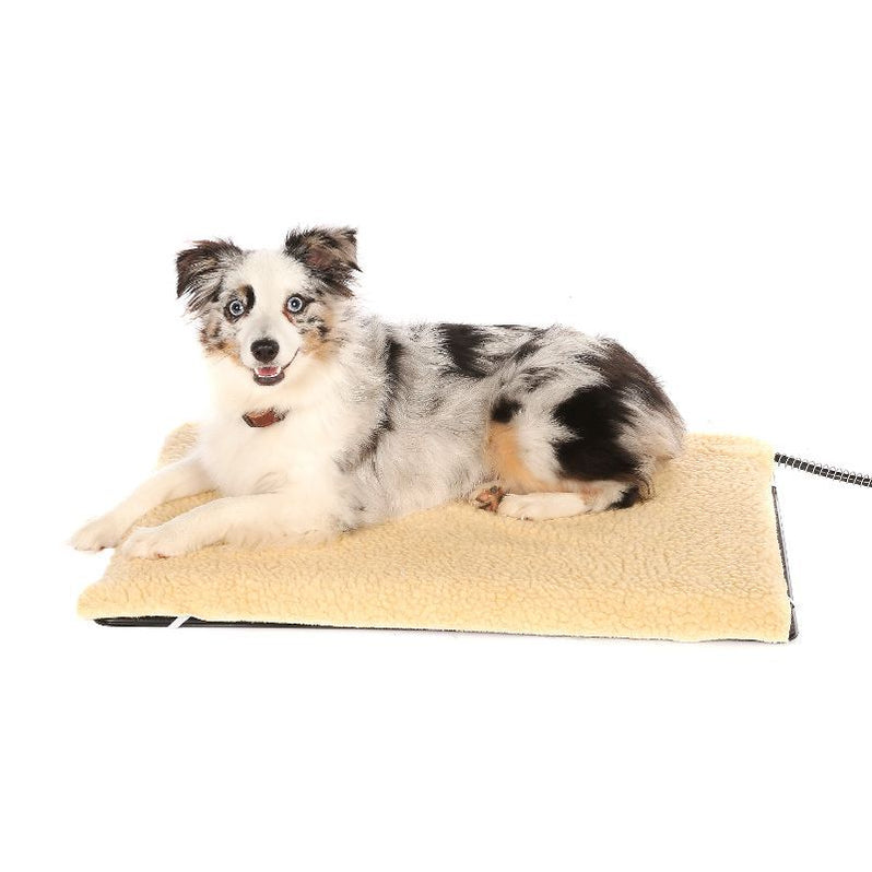Api Plastic Heated Pet Mat 23x29 Large