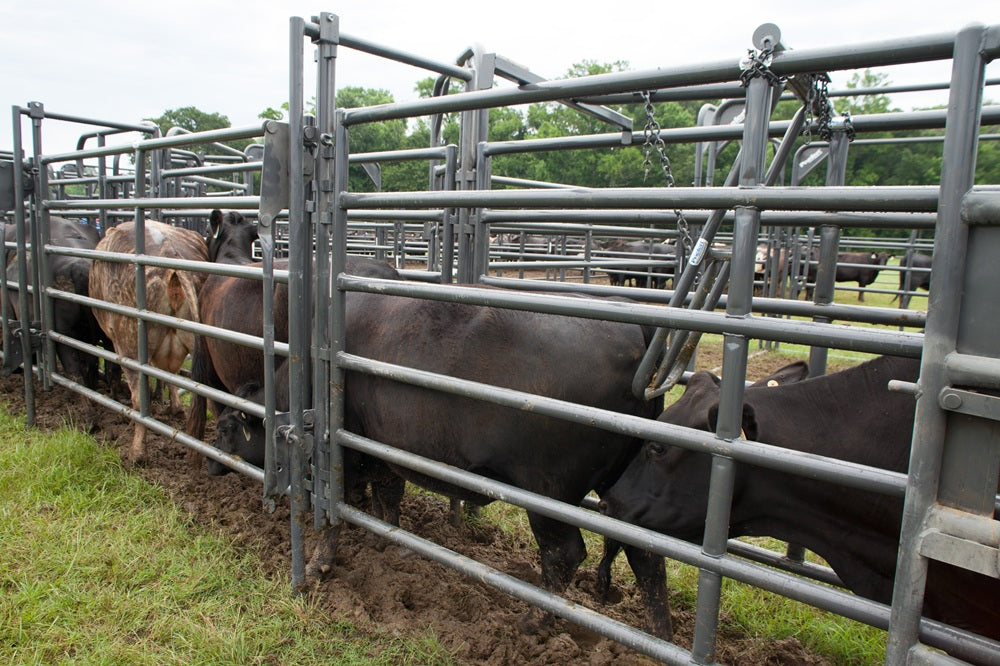 Priefert Universal Alley Stop