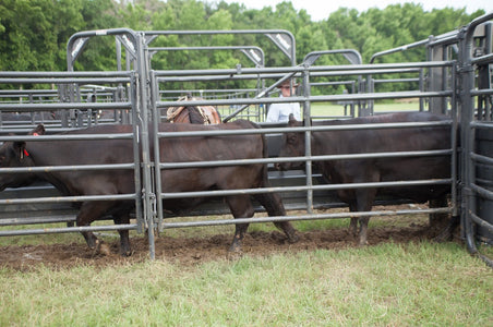 Priefert Universal Alley Stop