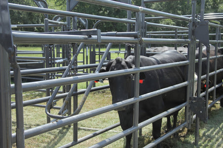 Priefert Universal Alley Stop