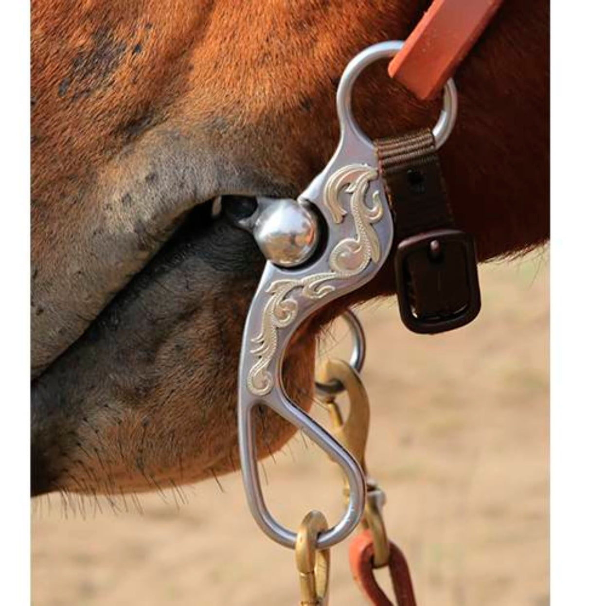 Professionals Choice Professional's Bob Avila Santa Rosa Shank - Dog B
