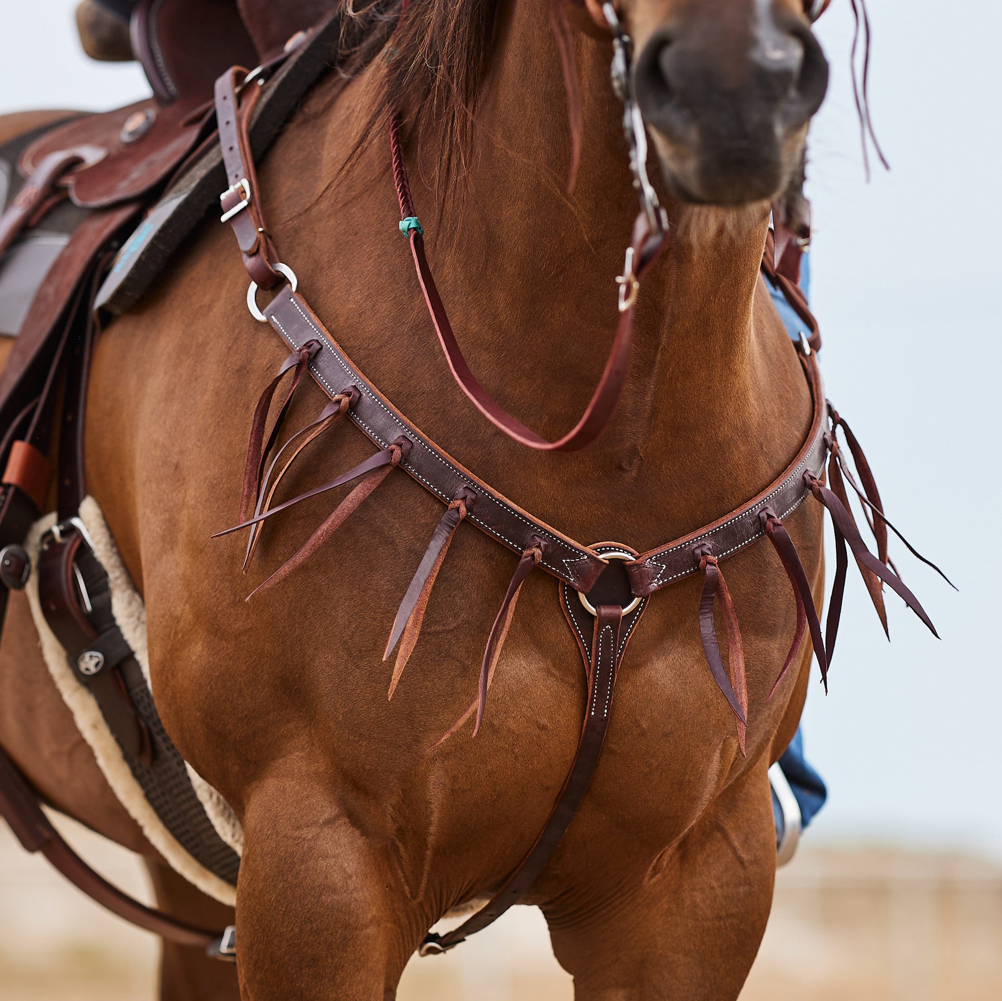 Cowboy Tack 1 1/4 Inch Chocolate Harness Leather Breast Collar with La