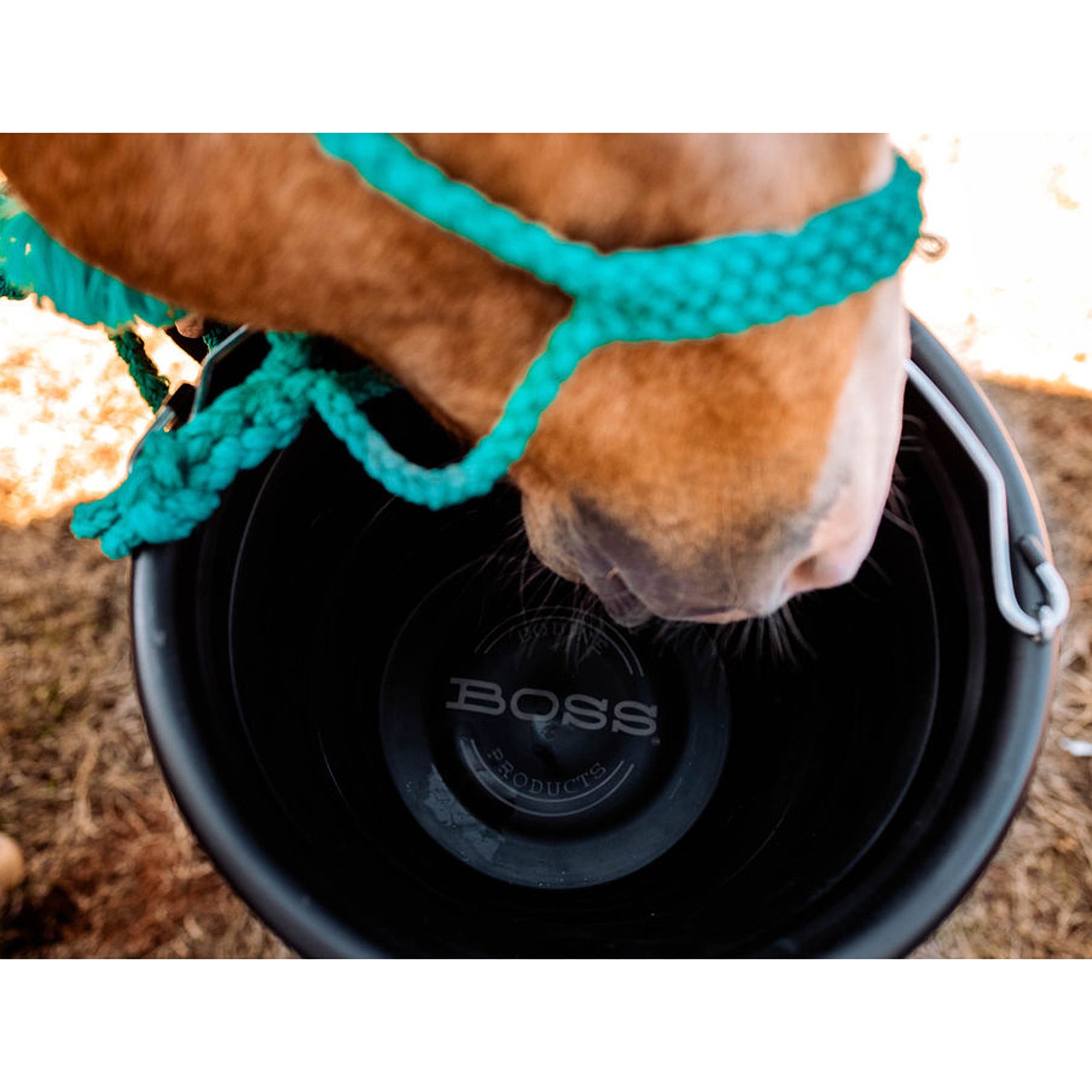Boss Equine Collapsible Boss Buckets