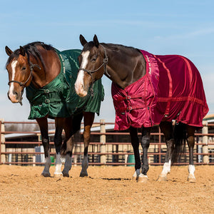 Back On Track Mesh Horse Therapy Mesh Sheet